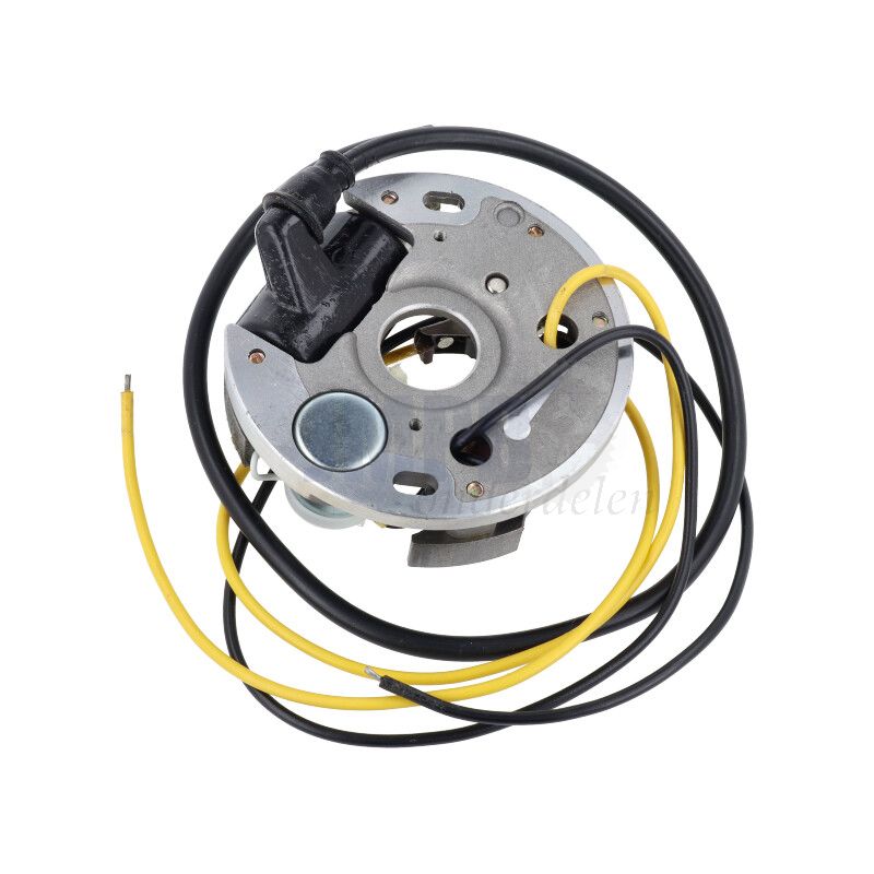 Ontsteking Kreidler / Zundapp / Sachs / ILO Mini Model Bosch Ø 80MM ...